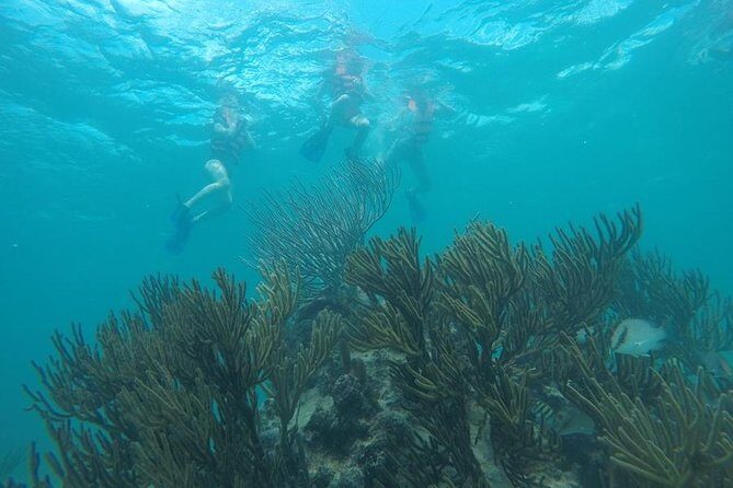 Tulum ruins swim with turtles in Akumal and Cenote - Potential Considerations for Travelers