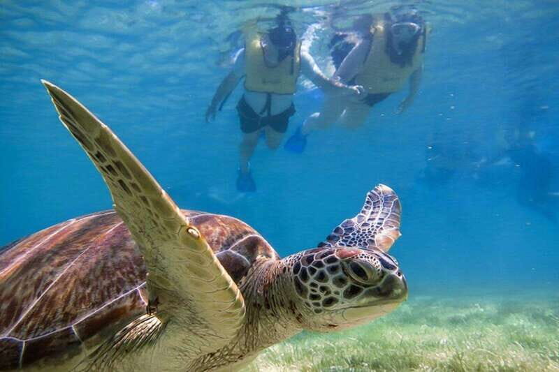 Tulum: Ruins, Turtles & Cenotes Adventure - What Reviewers Are Saying
