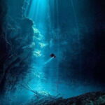 Tulum: Scuba Diving in the Mystical Cenotes - What Makes This Tour Stand Out?