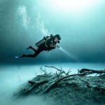 Tulum : Scuba in 2 cenotes including a deep one Pit Dos Ojos - Key Points