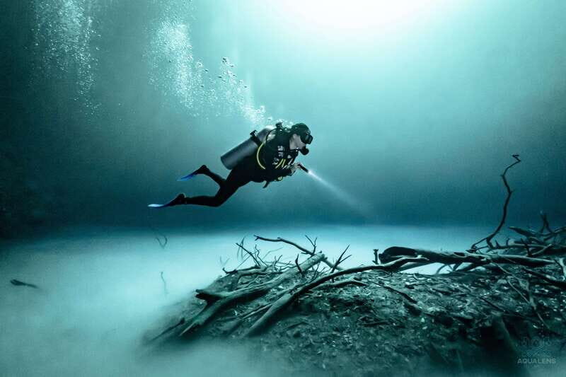 Tulum : Scuba in 2 cenotes including a deep one Pit Dos Ojos - Key Points