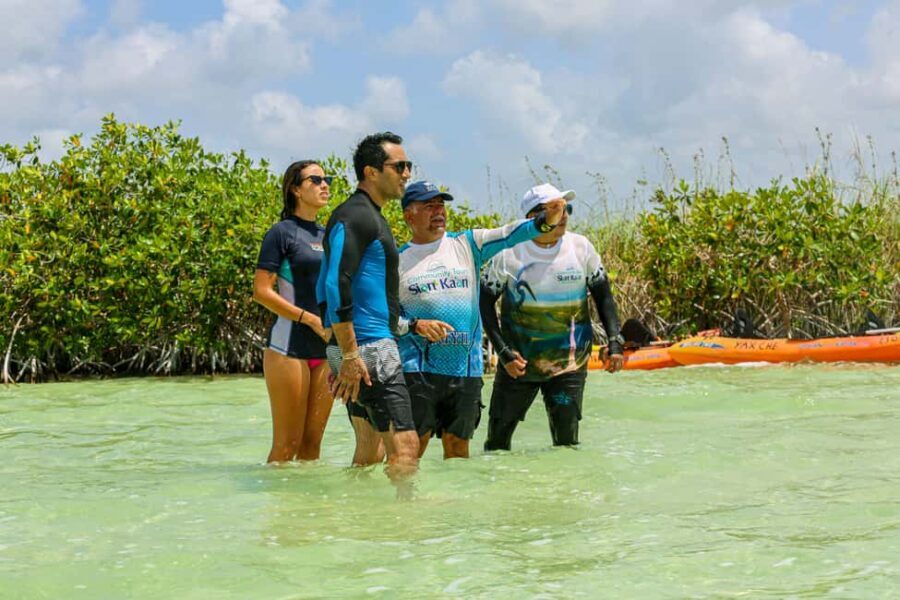 Tulum: Sian Ka'an Biosphere Reserve Kayak Tour - Detailed Breakdown of the Itinerary