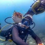 Tunku Abdul Rahman Marine Park Leisure Diving from Kota Kinabalu - Final Thoughts
