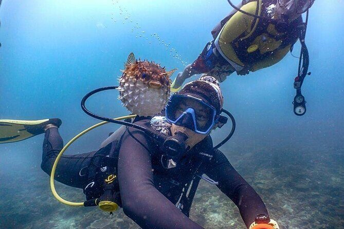 Tunku Abdul Rahman Marine Park Leisure Diving from Kota Kinabalu - Final Thoughts