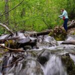 Turnagain Arm Highlights Photo Tour - The Sum Up