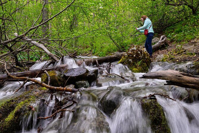 Turnagain Arm Highlights Photo Tour - The Sum Up