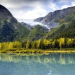 Turnagain Arm Sightseeing Experience and Wildlife Tour - From Reviews: Authentic Perspectives