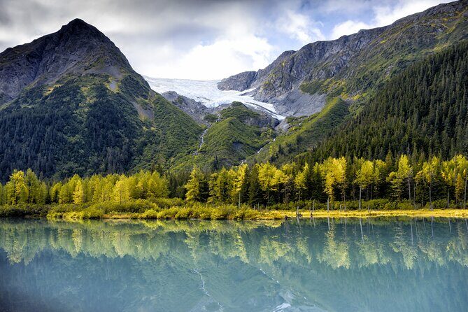 Turnagain Arm Sightseeing Experience and Wildlife Tour - From Reviews: Authentic Perspectives