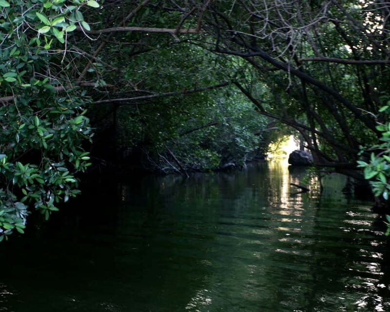 *Turtle Hatching + 3 Palos Lagoon Boat Ride & Crocs Farm - An In-Depth Look at the Tour Experience