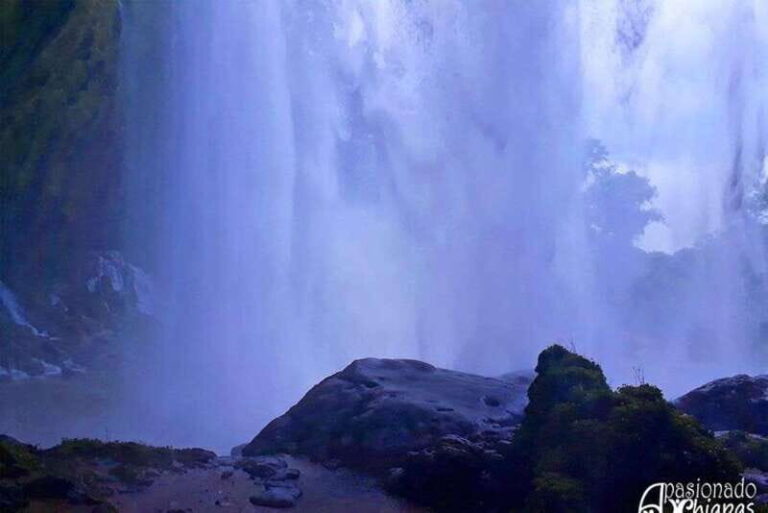 Tuxtla Gutierrez: Agua Azul, Misol Ha & Palenque Experience - Whats the Overall Value?