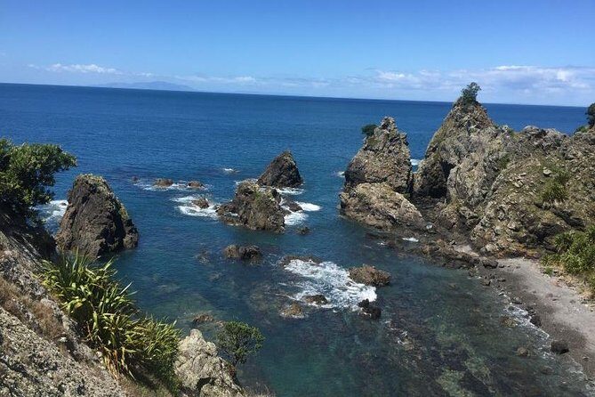 Twharanui- Get away from it all and experience New Zealand at its best - private tour - Who is This Tour Best For?