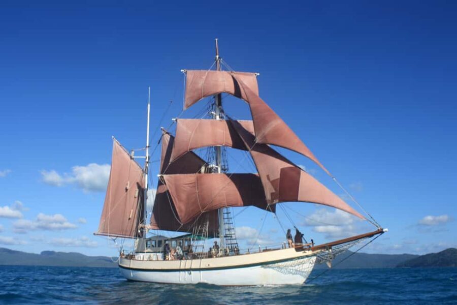 Twilight Dinner Cruise on Coral Trekker - Key Points