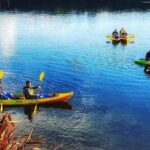 Twilight Glowworm Kayak Tour  Lake Karapiro - Authentic Experiences and Tips