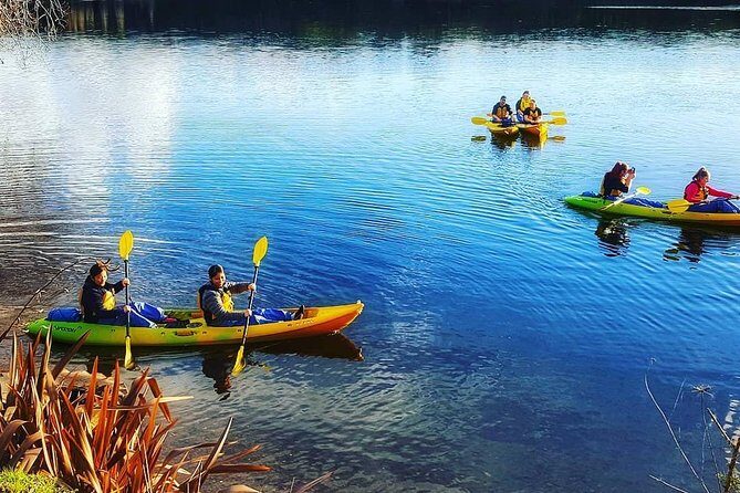 Twilight Glowworm Kayak Tour  Lake Karapiro - Authentic Experiences and Tips