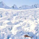 Twin Glacier Fox and Franz, Snow Landing (allow 30 mins - departing Fox Glacier) - Final Thoughts: The Value of a Glacier Skies Adventure