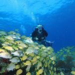 Two Tanks Scuba Diving for Beginners in Cancun - The Training and Safety Protocols