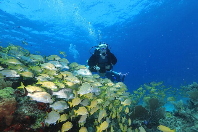 Two Tanks Scuba Diving for Beginners in Cancun - The Training and Safety Protocols