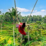 Ubud All-Inclusive Tour with Swing and Lunch - Who Will Love This Tour?