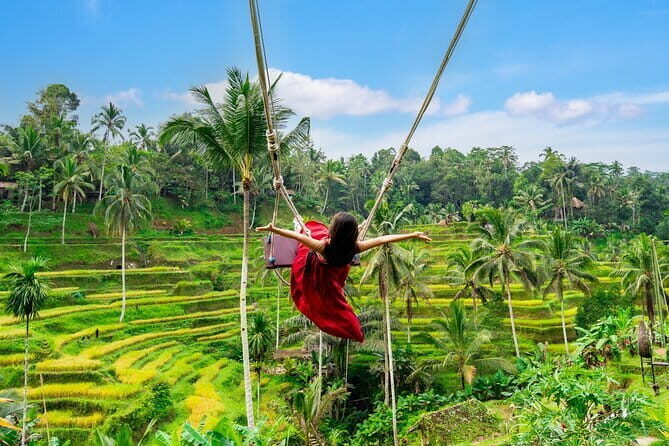 Ubud All-Inclusive Tour with Swing and Lunch - Who Will Love This Tour?