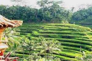 Ubud Bali Purification and Blessing in Holy Water Temple