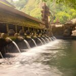 Ubud Bali: Rice Terrace, Waterfall and Tirta empul Day Tour - Logistics and Practicalities