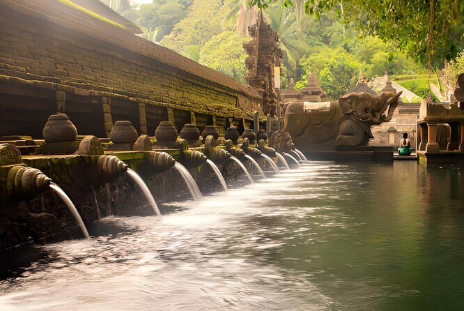 Ubud Bali: Rice Terrace, Waterfall and Tirta empul Day Tour - Logistics and Practicalities