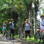 Ubud Countryside Cycling Tour (Included Private Transfer & Lunch) - Who Will Love This Tour?