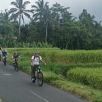 Ubud Cultural and Educational Downhill Cycling Tour - Who Will Enjoy This Tour?