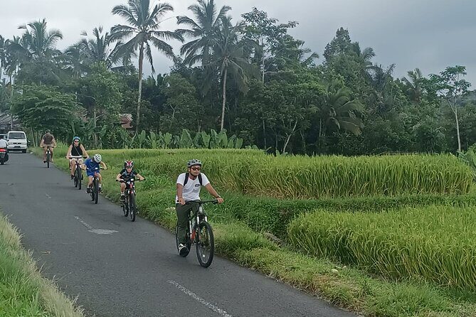 Ubud Cultural and Educational Downhill Cycling Tour - Who Will Enjoy This Tour?