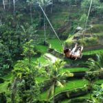 Ubud Day Trip and Tanah Lot - Practical Tips for Making the Most of This Tour
