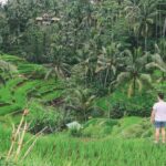 Ubud Experience - Whats Included vs. Extras