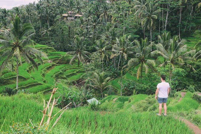 Ubud Experience - Whats Included vs. Extras