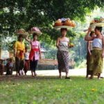 Ubud Highlights Tour ( Private All-Inclusive ) - Who Should Book This Tour?
