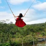 Ubud Jungle Swing Bali Tour - The Value of This Tour