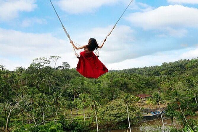 Ubud Jungle Swing Bali Tour - The Value of This Tour