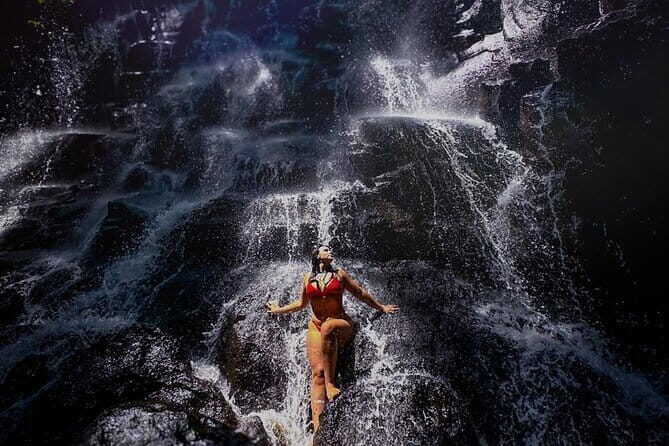Ubud Most Iconic Waterfall, Water Temple and Rice Terrace Tour - Transport and Logistics