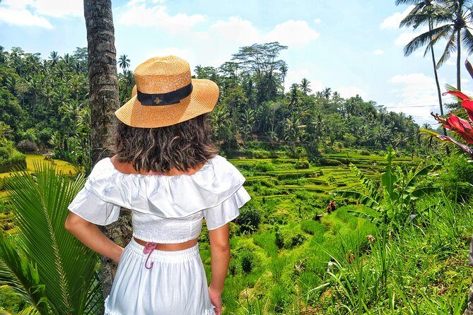 Ubud Private Tour : Choice Your Own Trip - Breaking Down the Cost and Value