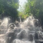 Ubud Shared Tour: Ubud Waterfalls, Tegalalang & Holy Water Temple - Price and Value Analysis