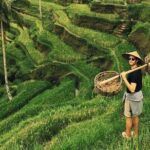 Ubud Sightseeing, Holy Water Temple & Waterfall - The Itinerary in Detail