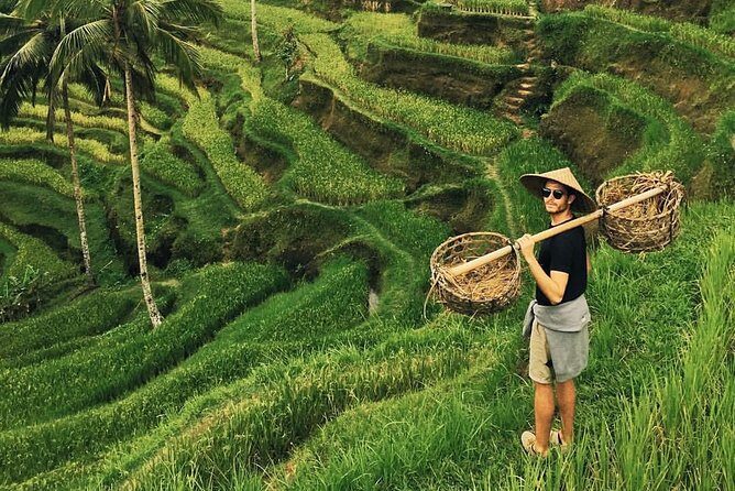 Ubud Sightseeing, Holy Water Temple & Waterfall - The Itinerary in Detail