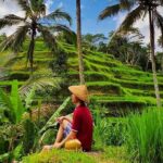 Ubud-Tanah Lot Temple Package Tour - Practical Details and What They Mean for You