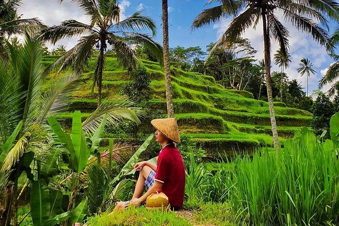 Ubud-Tanah Lot Temple Package Tour - Practical Details and What They Mean for You