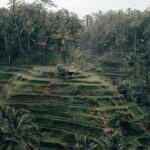 Ubud Tour and Tanah Lot Temple Tour - All Inclusive - Exploring the Balance of Art, Culture, and Nature