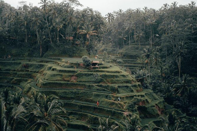 Ubud Tour and Tanah Lot Temple Tour - All Inclusive - Exploring the Balance of Art, Culture, and Nature