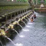 Ubud Tour : Monkey forest, Rice terrace, Water temple, Waterfall & Jungle Swing - Who Should Consider This Tour?