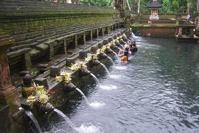 Ubud Tour : Monkey forest, Rice terrace, Water temple, Waterfall & Jungle Swing - Who Should Consider This Tour?