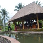 Ubud Village Sightseeing, Famous Paddy Field And Ubud Waterfall - FAQ
