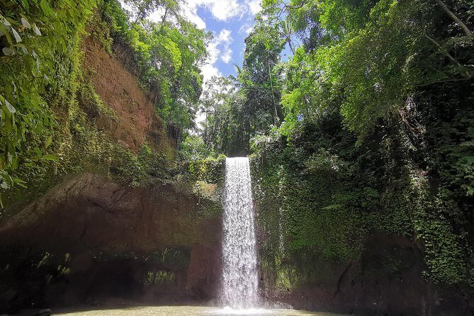 Ubud Village, Tegalalang Rice Terrace Swing, Tirta Empul Temple and Waterfafall - Authentic Experiences and Local Insights