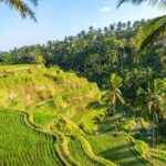 Ubud Waterfall Experience - Key Points