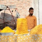 Udaipur: Street Food Crawl (2 Hours Local Food Tasting Tour) - Who Will Love This Tour?